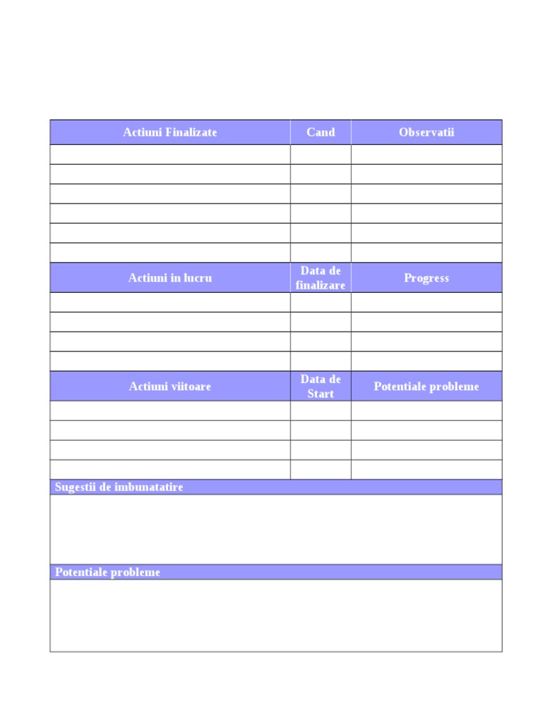 Model-Raport Saptamanal | PDF