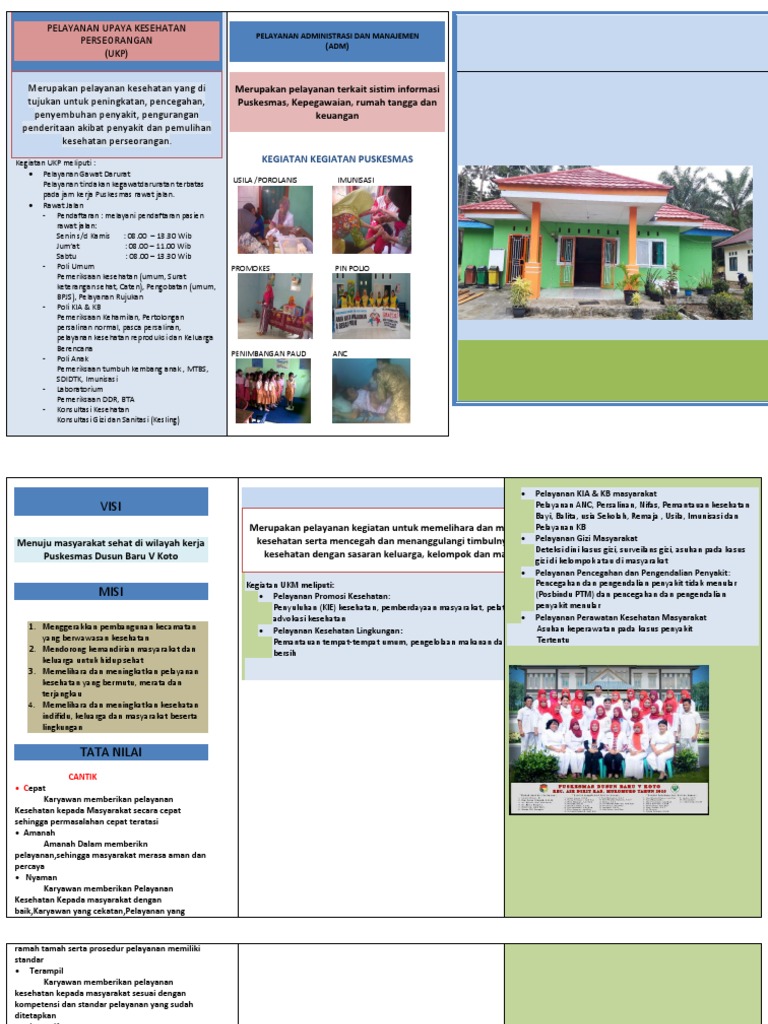Leaflet Puskesmas DB | PDF