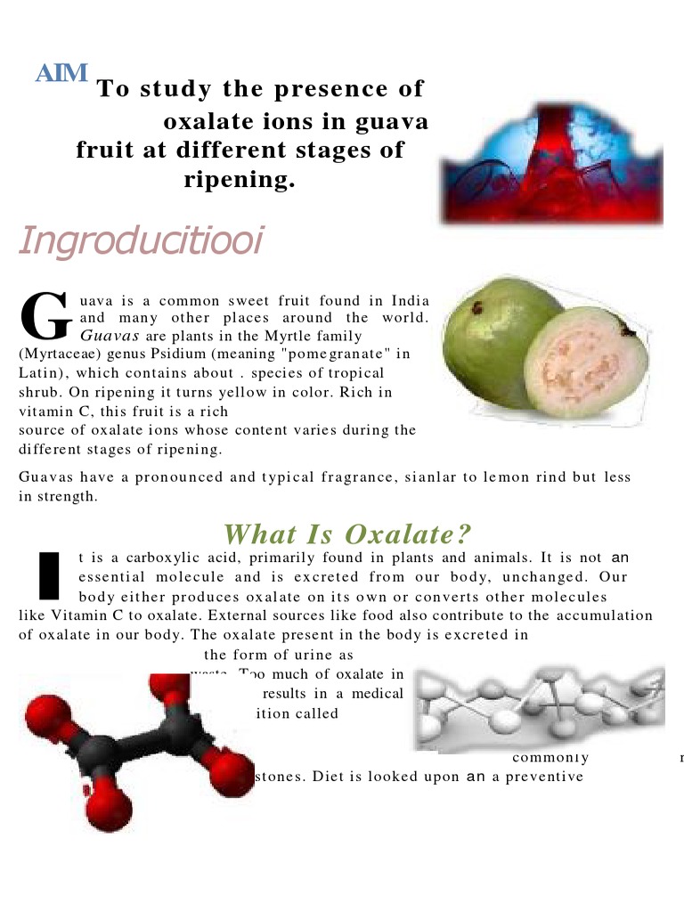 Oxalate Ion Levels in Ripening Guava | PDF | Fruit | Nature