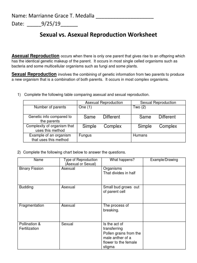 Asexual Reproduction Worksheet High School