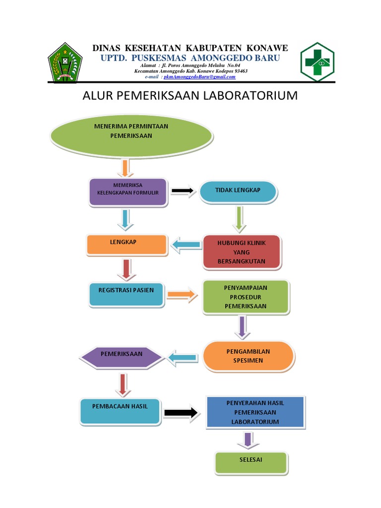 Alur Pemeriksaan Laboratorium | PDF