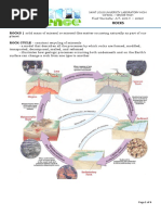 Lithologic Patterns | PDF | Rocks | Rock (Geology)