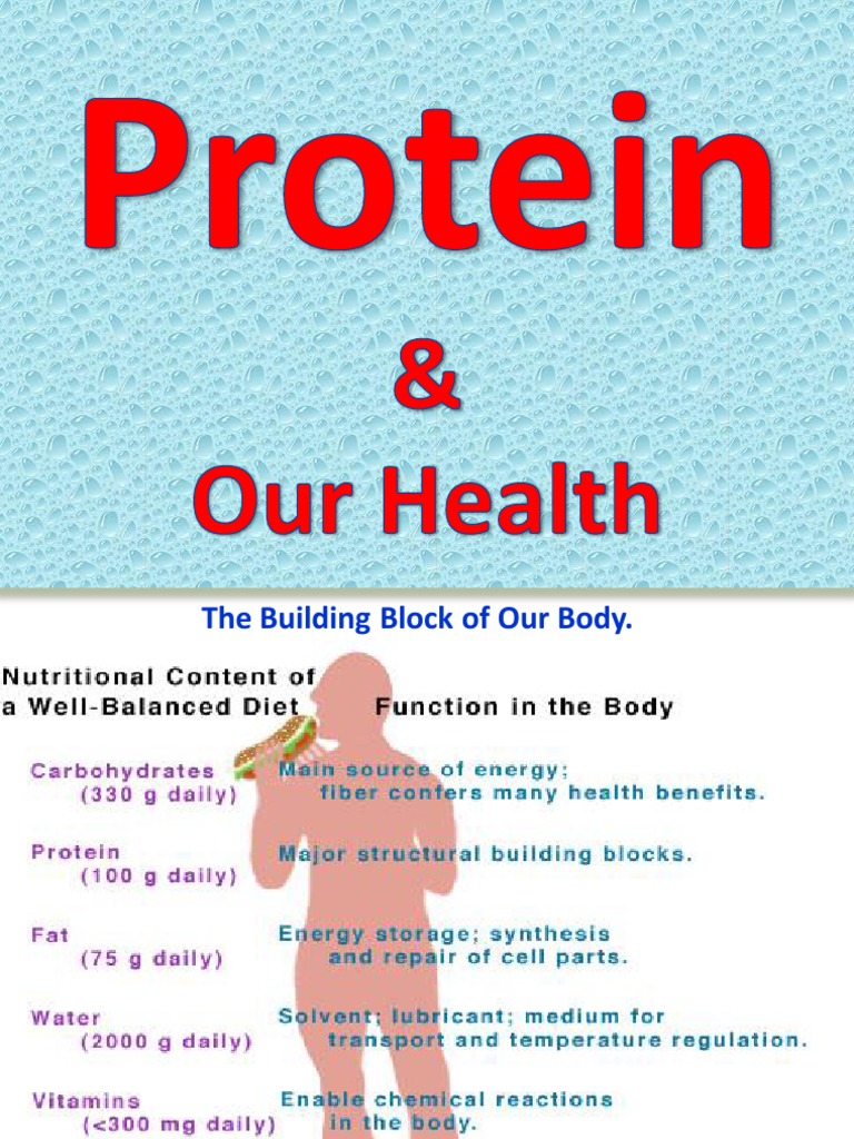 Protein Essentials | PDF | Proteins | Human Body