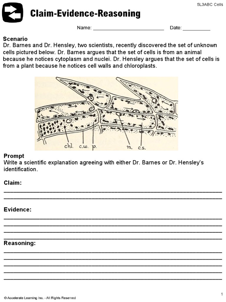 Cer Cells | PDF | Organisms | Science
