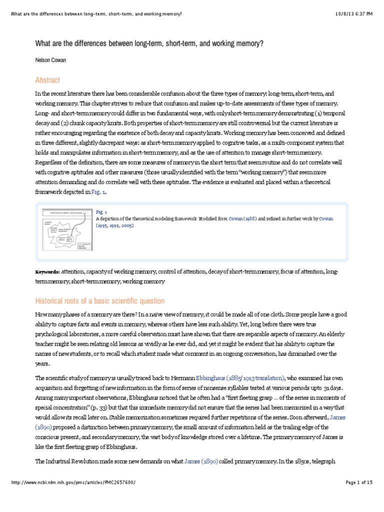 What Are The Differences Between Long Term Short Term And Working