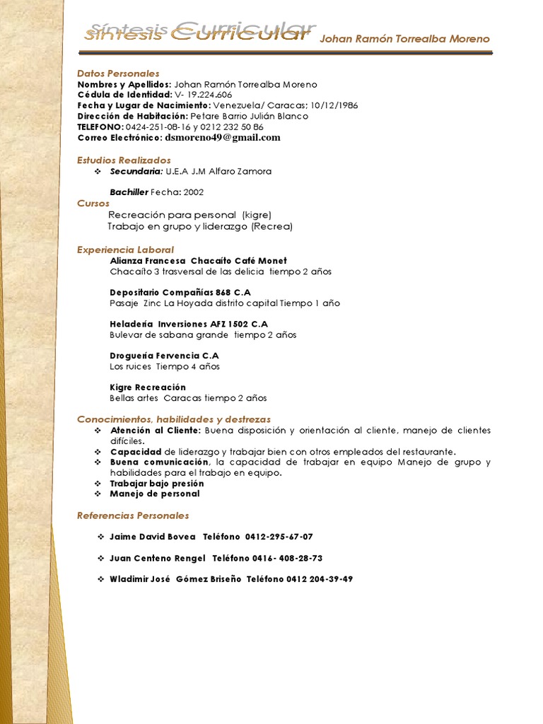 Curriculum Johan | PDF