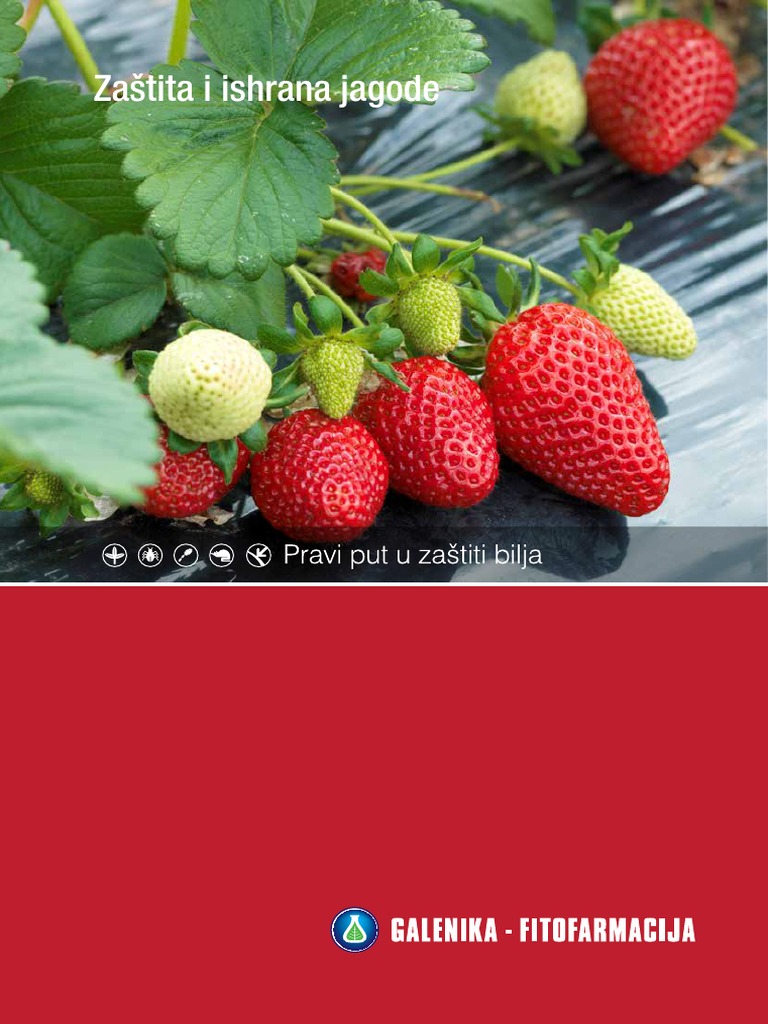 Galenika Fitofarmacija Program Zastite Jagode 2018 | PDF