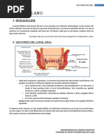 Anatomía y Fisiología Anorrectal | PDF | Recto | Sistema digestivo