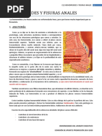 Facies Algicas | PDF | Anatomía humana | Especialidades Medicas