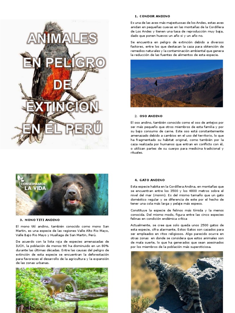 Animales en Peligro de Extinción en Perú | PDF | Deforestación ...