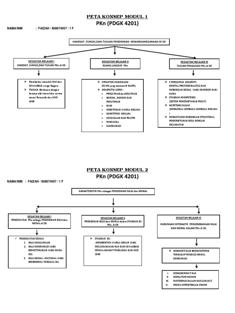 Peta Konsep PKN | PDF