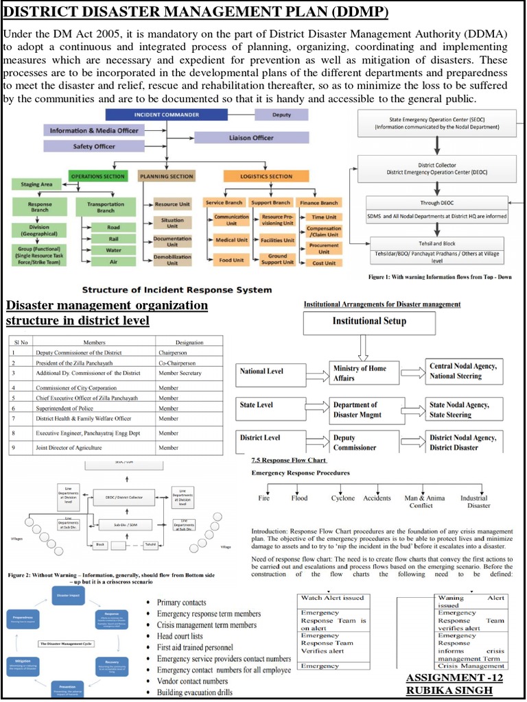 Disaster Management Organization Structure in District Level | PDF