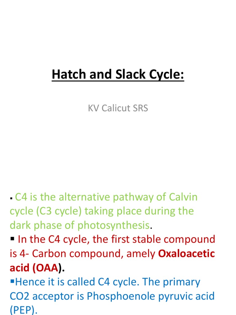 The Hatch-Slack Cycle: A detailed explanation of the C4 carbon fixation ...