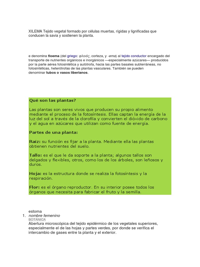 CIENCIAS | PDF | Tallo de la planta | Hoja