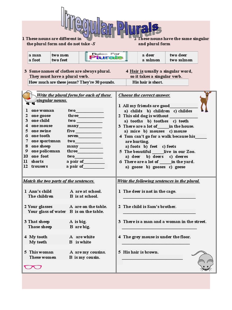 Irregular Plural Nouns and Usage Guide | PDF | Grammatical Number | Mouse