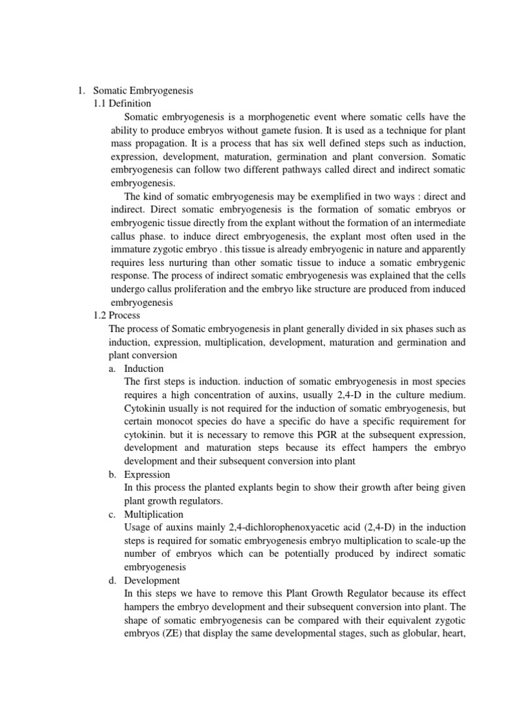 Somatic Embryogenesis | PDF | Developmental Biology | Reproduction