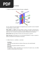 Posición de Roser o Proetz | PDF | Inflamación | Biología Celular)