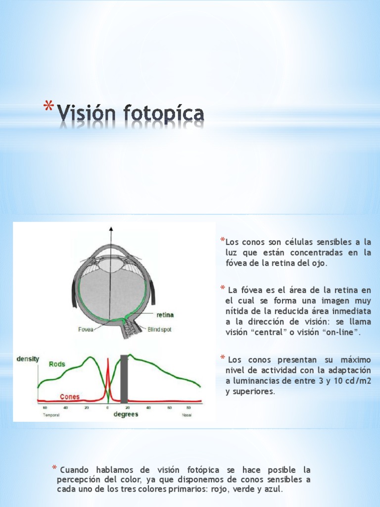 Tipos de Visión | PDF | Percepción visual | Color