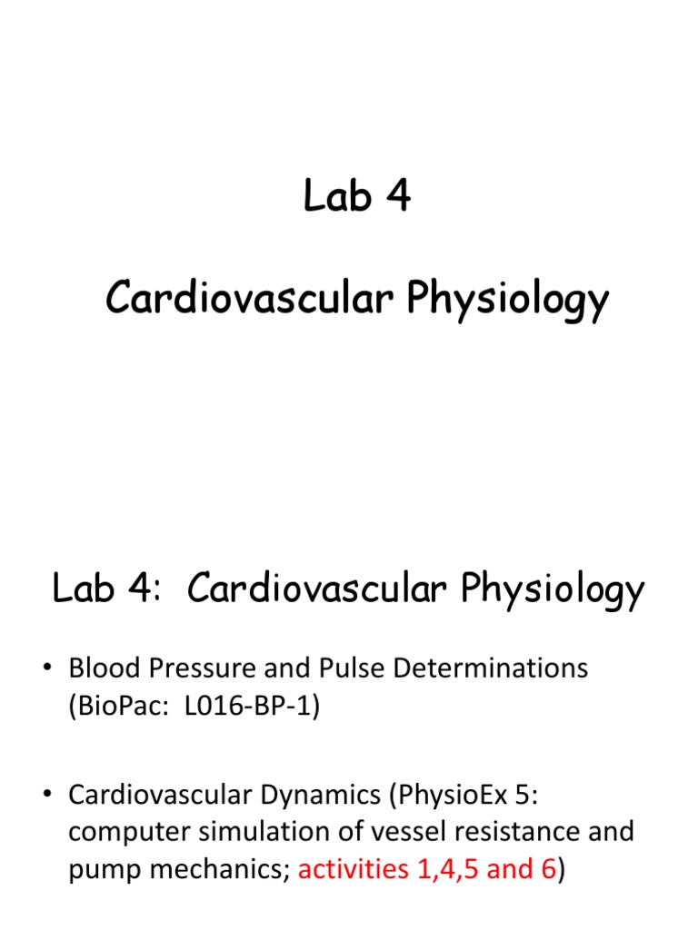 Cardiovascular Physiology Lab Overview | PDF | Blood Pressure | Pulse