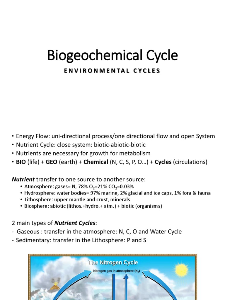 Biogeochemical Cycle: Environmental Cycles | Download Free PDF | Sulfur ...