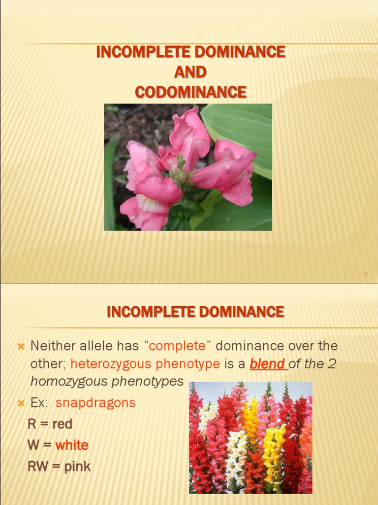 Incomplete and Codominance Explained | PDF | Dominance (Genetics ...