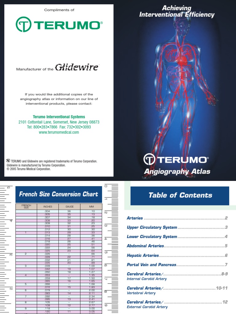 Angiography Atlas | Download Free PDF | Common Carotid Artery | Aorta