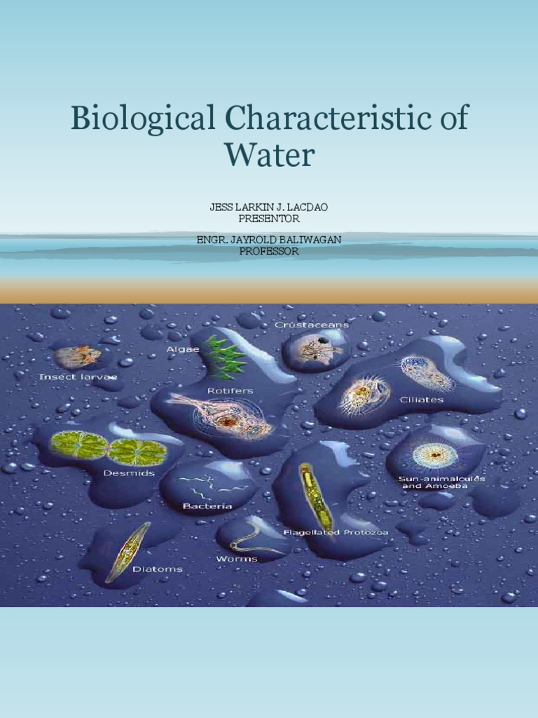 Biological Characteristics of Water | PDF