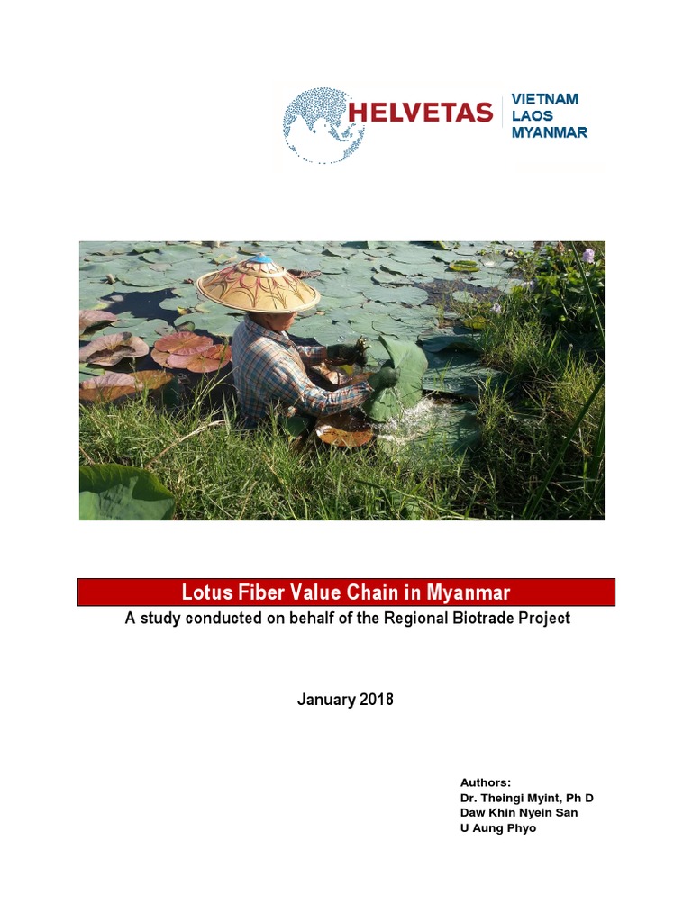 Lotus Fiber Study | PDF | Yarn | Spinning (Textiles)