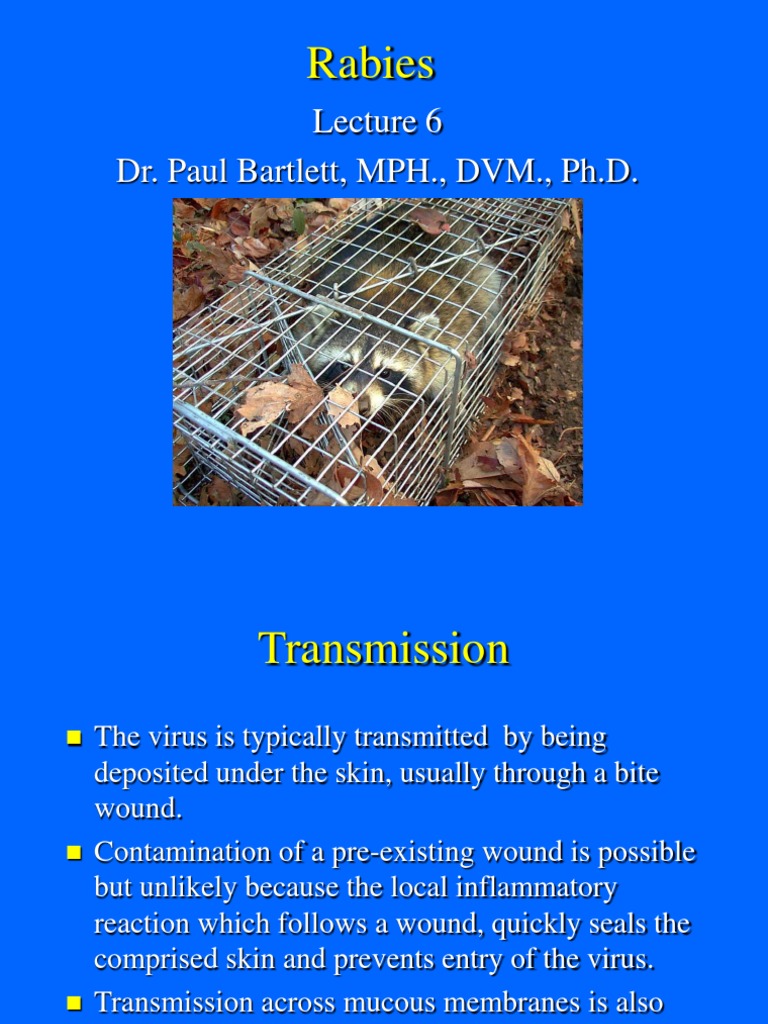 Rabies: Dr. Paul Bartlett, MPH., DVM., PH.D | PDF | Rabies | Virus