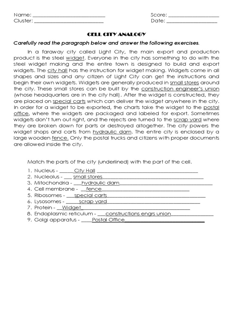 Cell City Analogy Worksheet