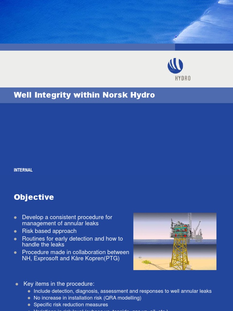 Well Integrity Within Norsk | PDF | Risk Assessment | Risk