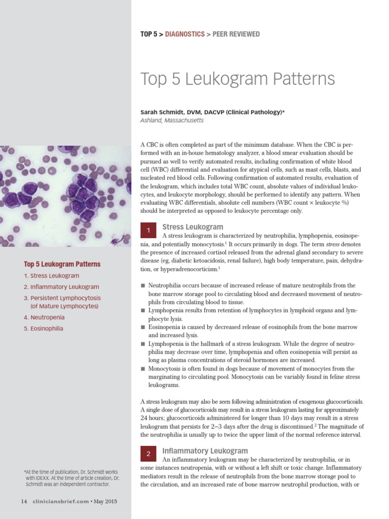 Top 5 Leukogram Patterns 22976 Article PDF | PDF | White Blood Cell ...