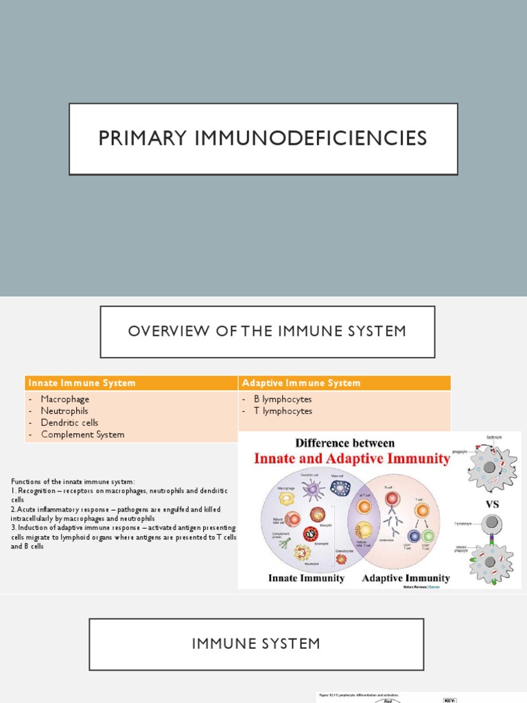 Primary Immunodeficiencies | PDF | Immune System | Lymphocyte