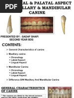 Maxillary and Mandibular Canine Morphology | PDF | Dental Anatomy ...