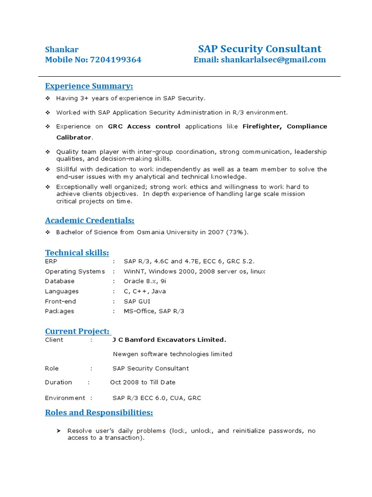 SAP Security Consultant: Shankar Experience Summary | PDF | System ...