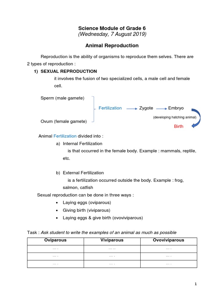 Animal Reproduction Overview for Grade 6 | PDF | Sexual Reproduction ...