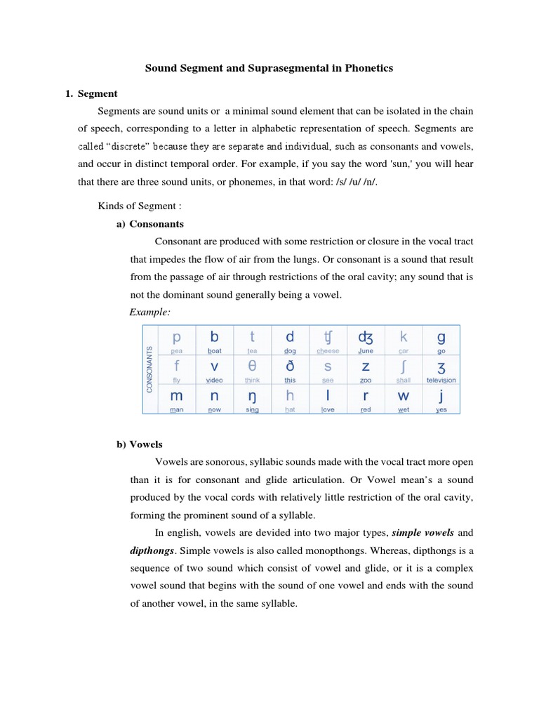Analyzing the Building Blocks of Speech: An Examination of Segments ...