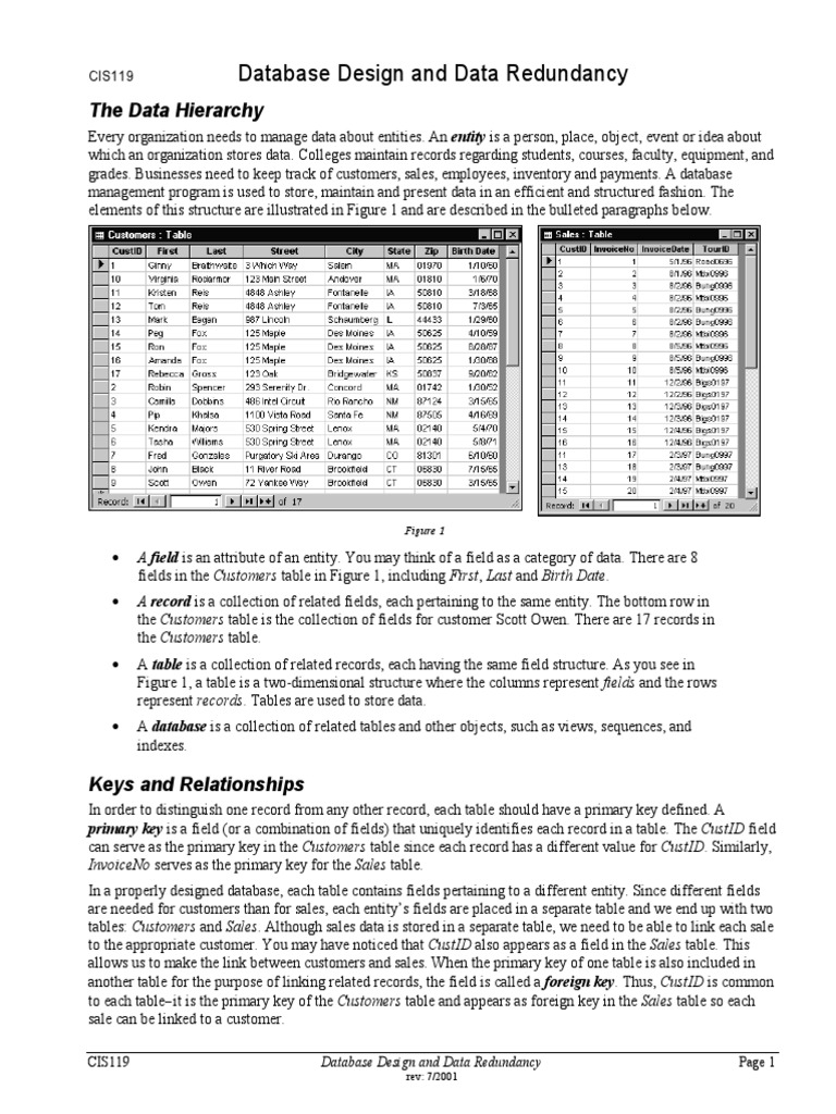 Database Design and Redundancy | PDF | Relational Database | Data Model