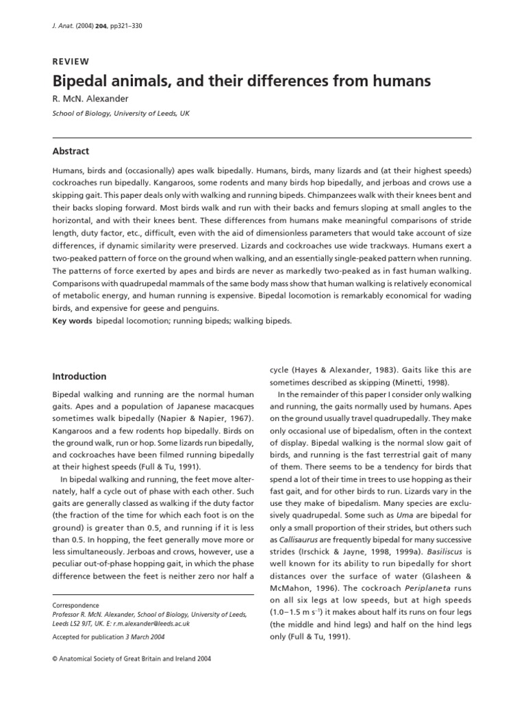 Bipedal Animals, and Their Differences From Humans | PDF | Bipedalism ...