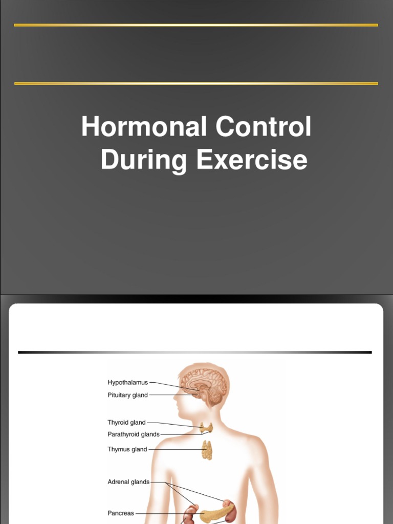 Hormonal Control of Metabolism During Exercise | PDF | Angiotensin ...