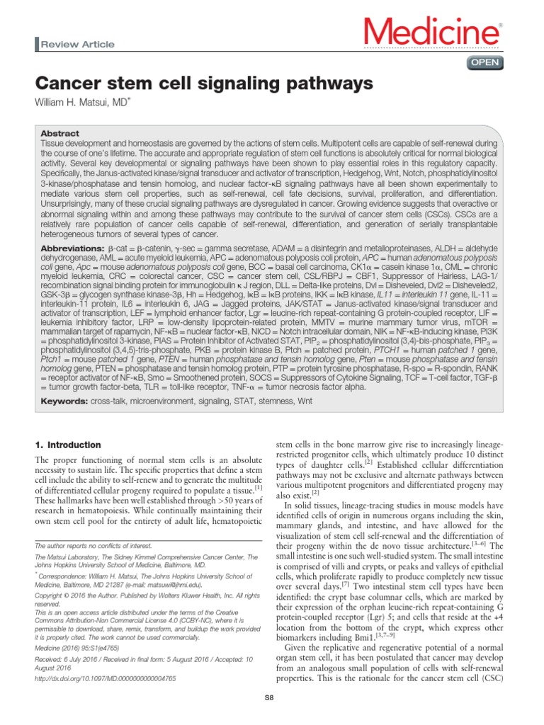Medicine: Cancer Stem Cell Signaling Pathways | Download Free PDF ...