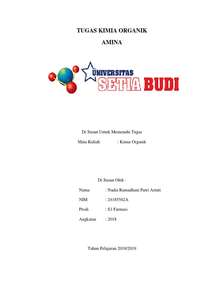 Tata Nama dan Sifat Amina | PDF