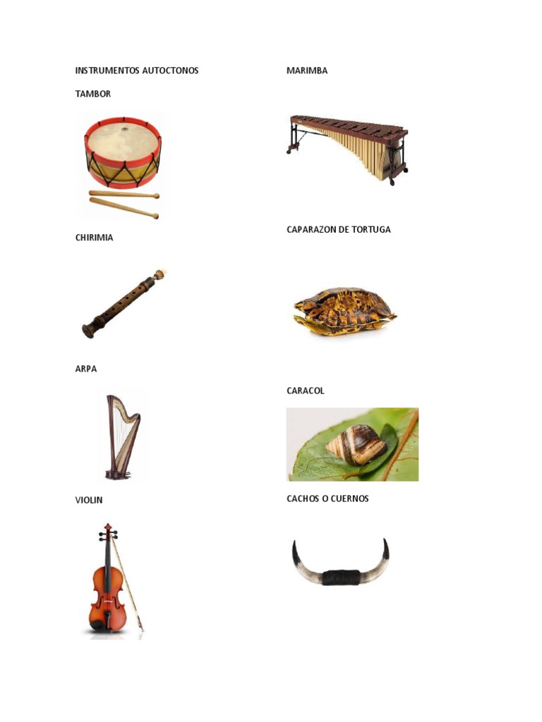 Instrumentos Autóctonas | PDF