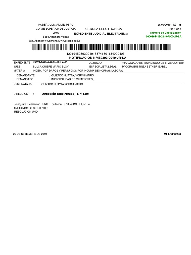 Exp. 13874-2019-0-1801-JR-LA-03 - Todos - 452393-2019 | PDF | Ley ...