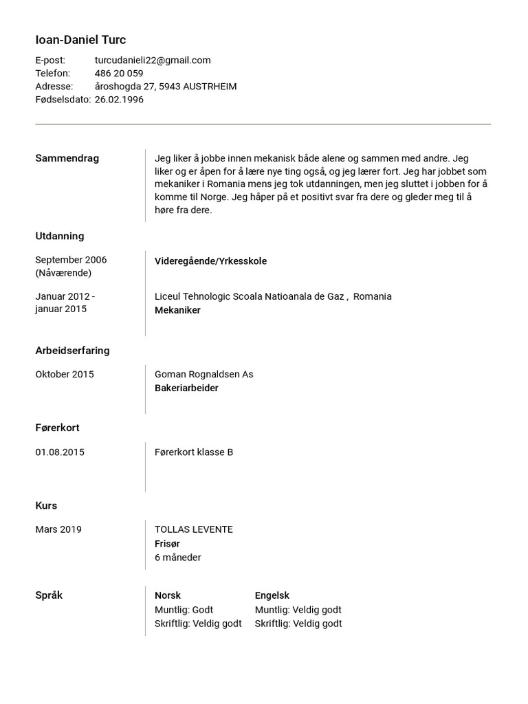 CV Ioan Daniel - Turc 3 | PDF