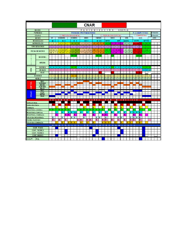 Plantilla Macrociclo | PDF