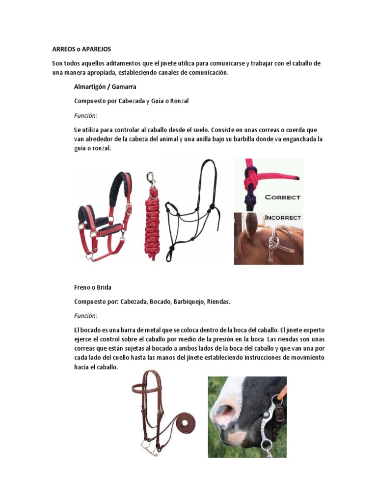 Arreos o Aparejos Basicos en Los Equinos | PDF | Ensillar | Caballos