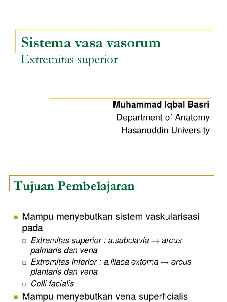 Anatomi Sistema Vasa Vasorum Extremitas Superior (DR. IQBAL) | PDF