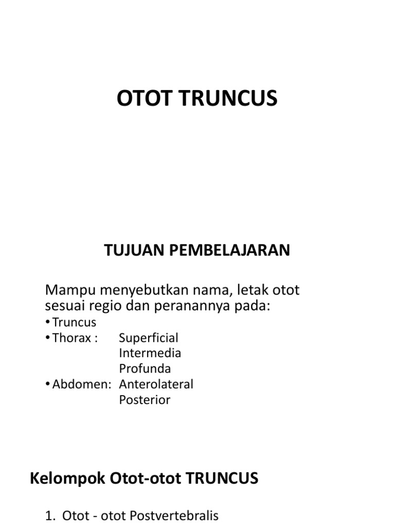 Otot Truncus | PDF