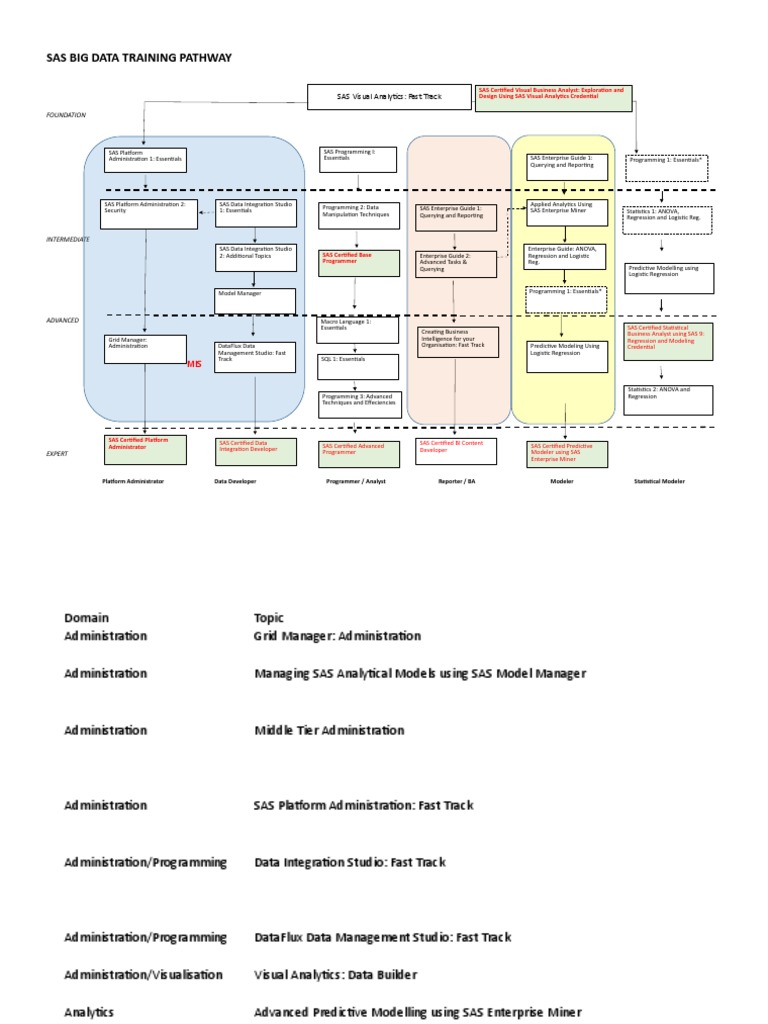 Sas Big Data Training Pathway | PDF | Sas (Software) | Analytics
